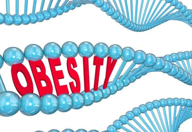 Obesity genetic factors (fat genes) - Women Health Info Blog